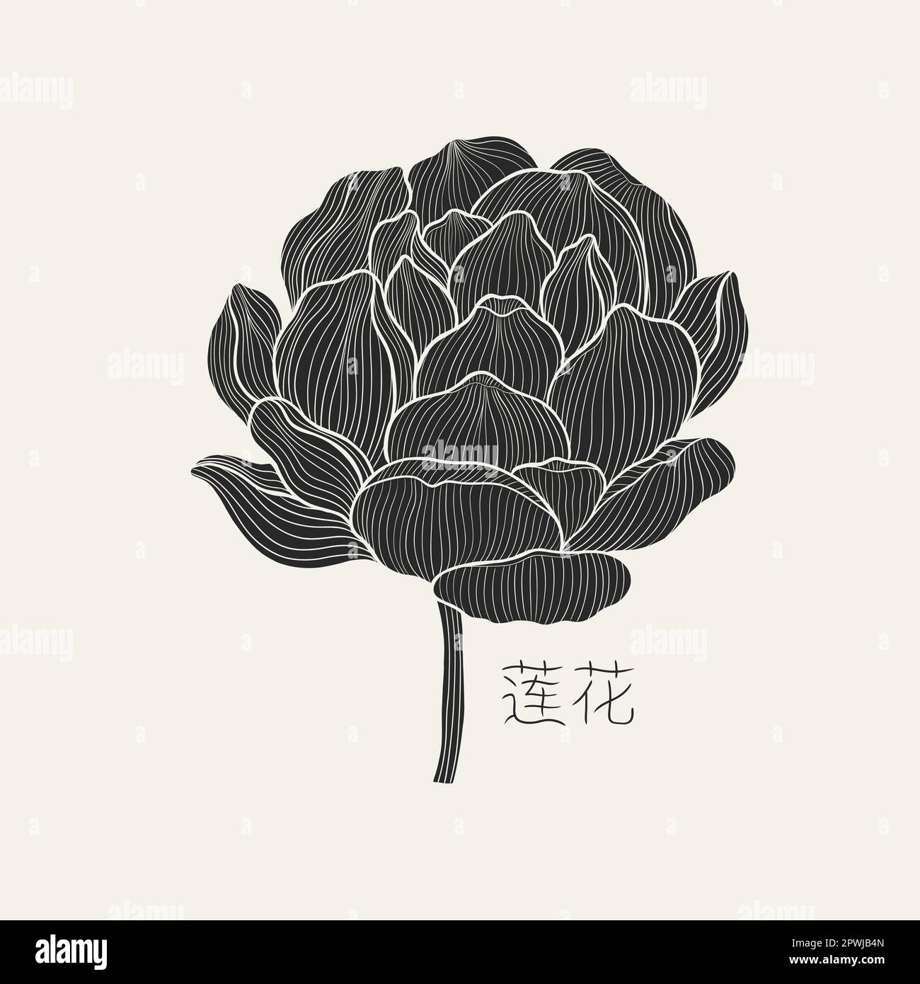 Freehand of a lotus with thin graceful lines . Lotus flower luxury ...