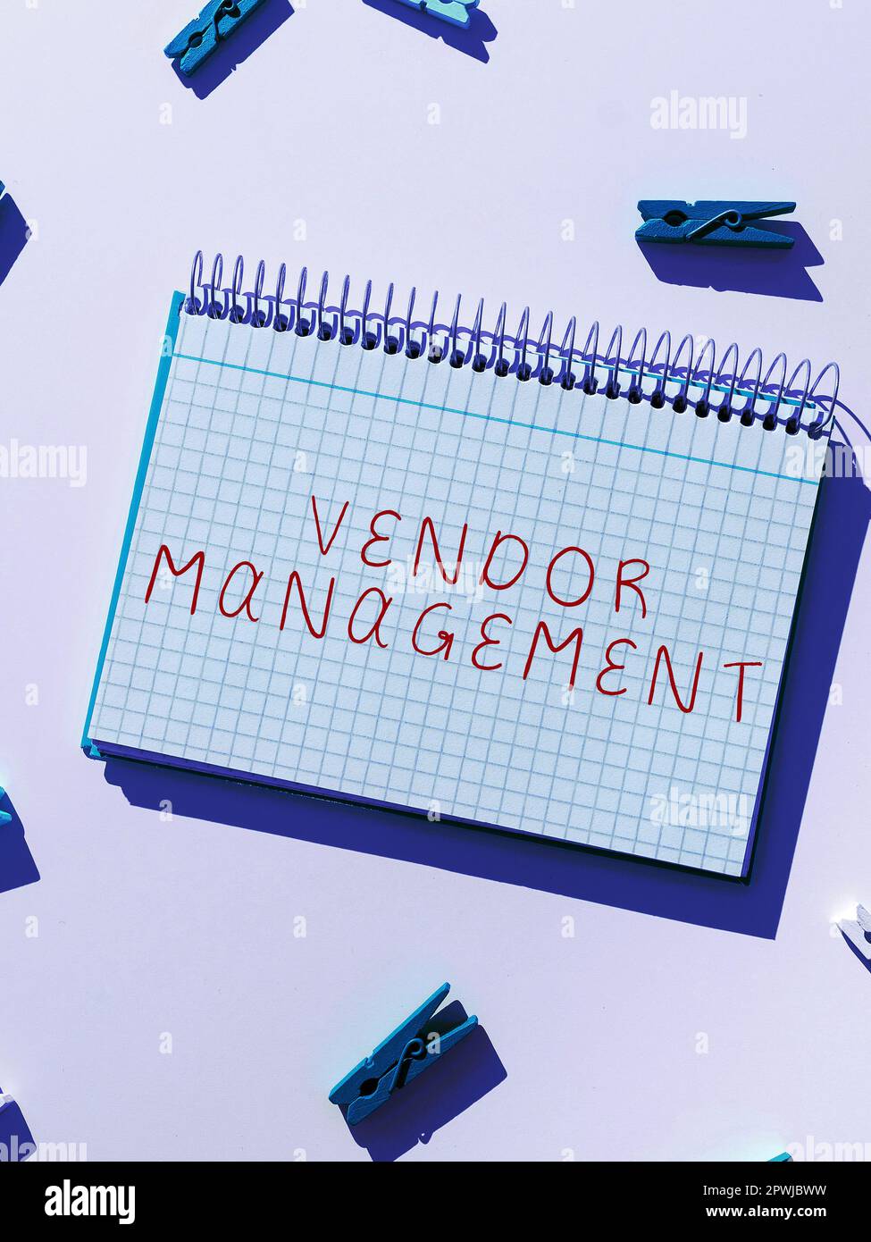 Conceptual display Vendor Management, Word for activities included in ...
