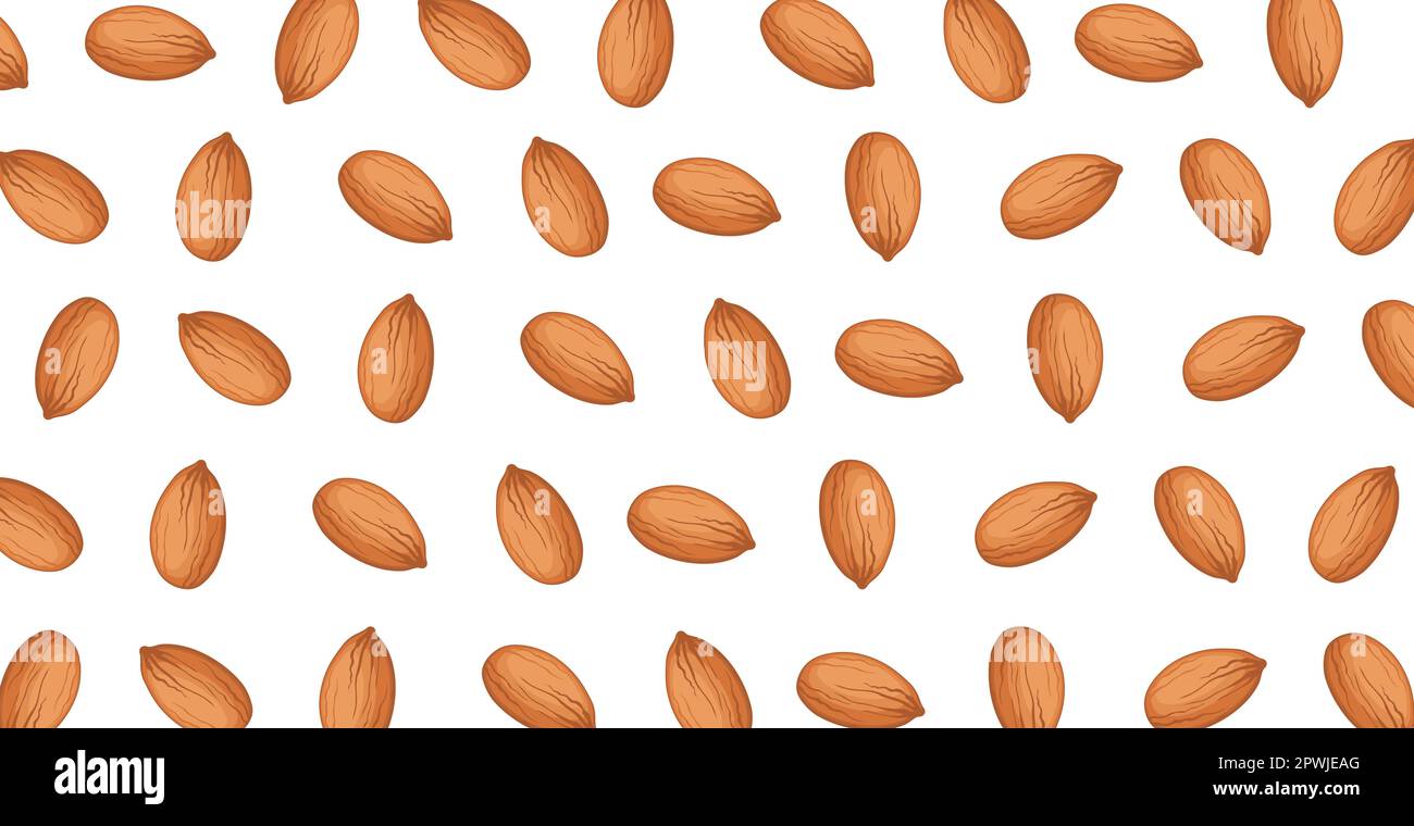 Panoramic pattern of roasted almonds on a white background - Vector ...