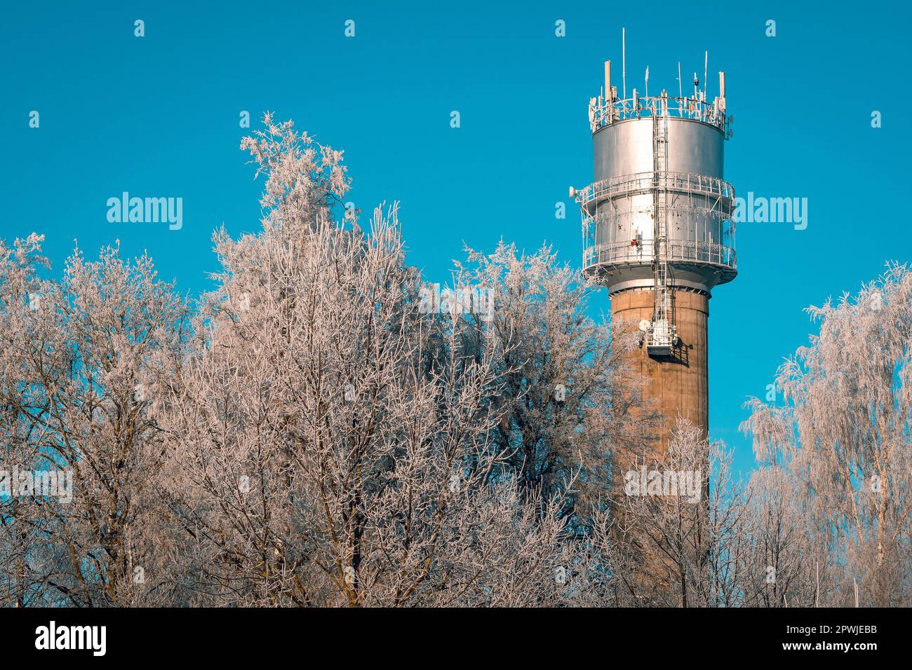 Water tower with communication antennas over a winter tree tops ...