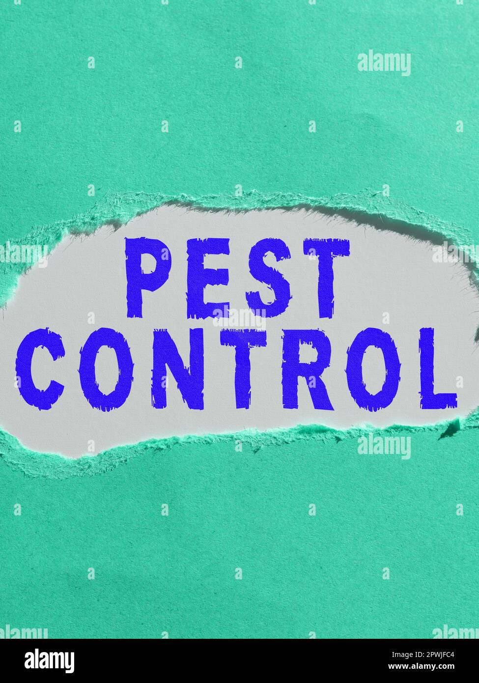 Text sign showing Pest Control, Concept meaning Killing destructive ...