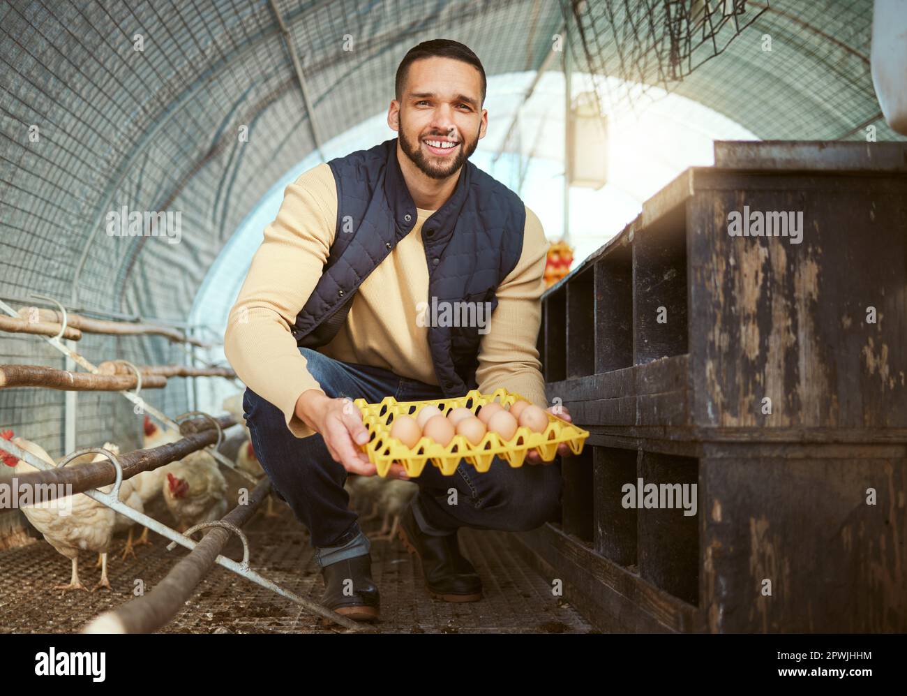 Farmer, chicken and poultry with man and eggs, farming with livestock ...