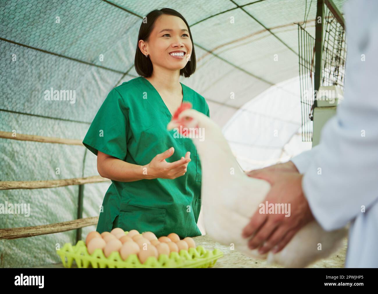 Woman, chicken eggs or farming customer on countryside agriculture ...