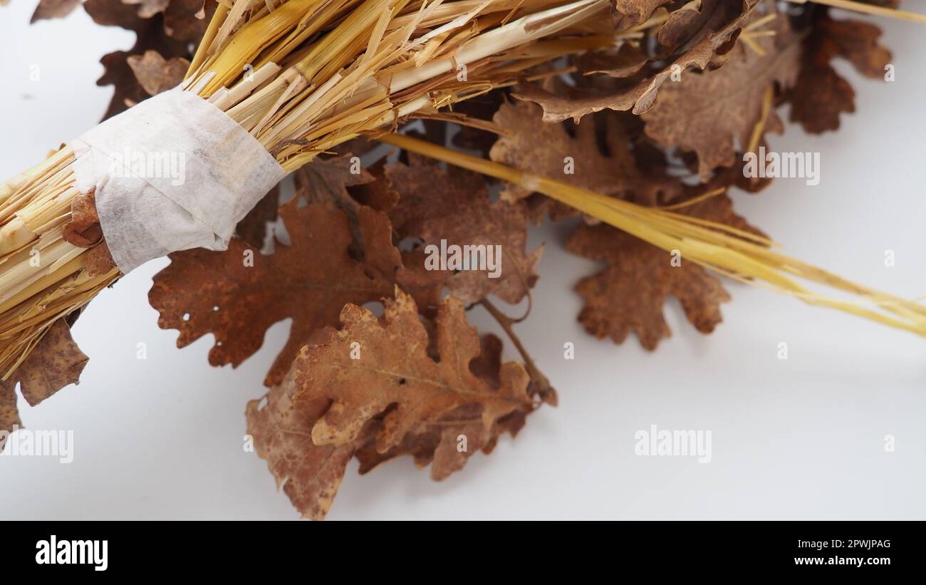 The badnjak veseljak is a tree branch or entire tree that is central to ...