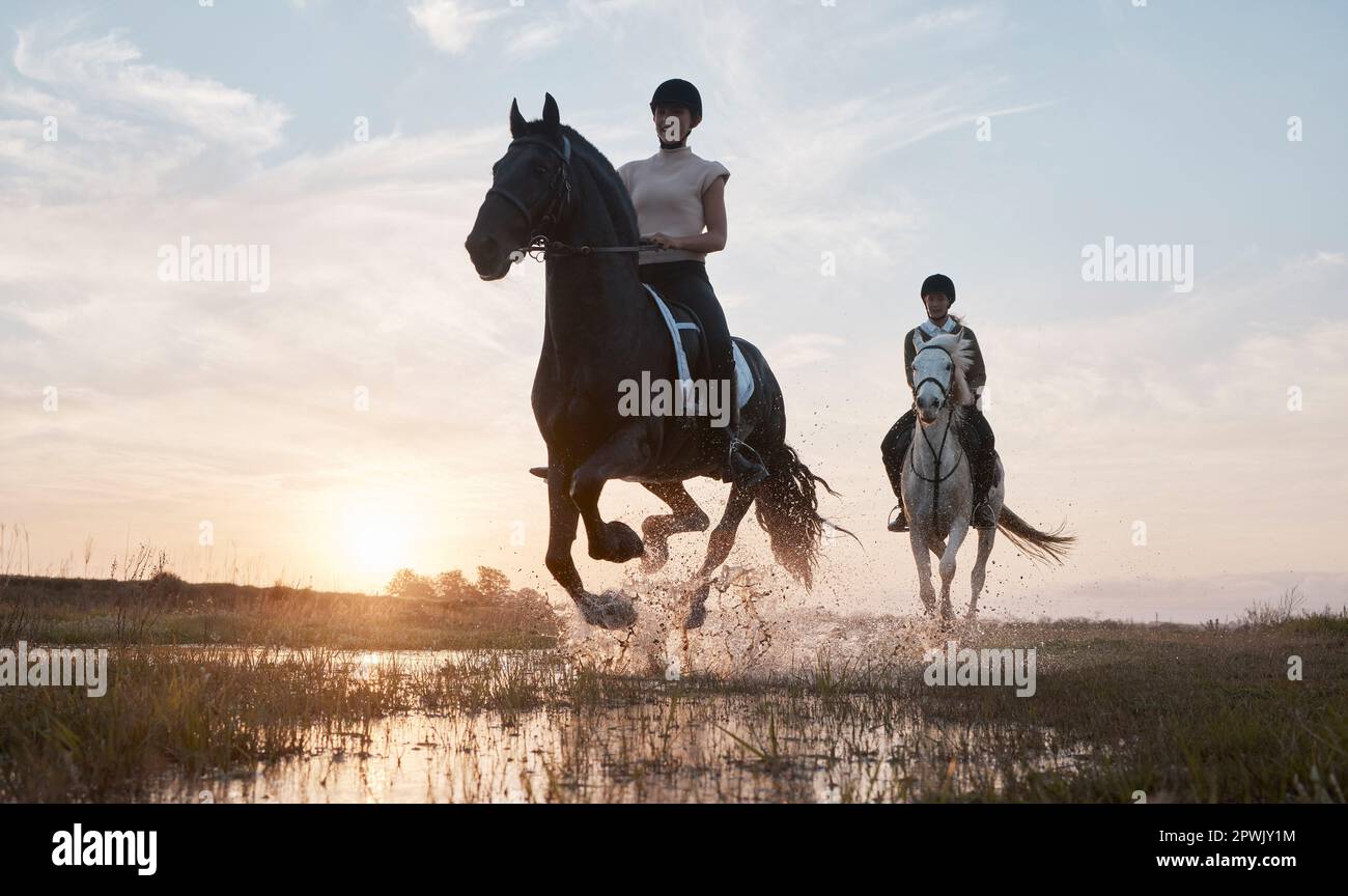 Rider horse back sitting back hi-res stock photography and images - Alamy