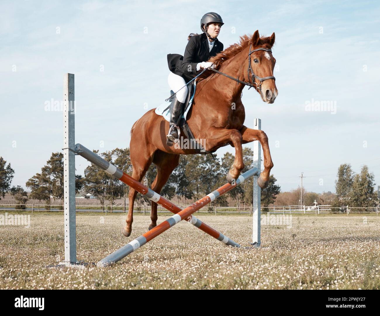 Obstacles are a part of life. Full length shot of a young female rider ...