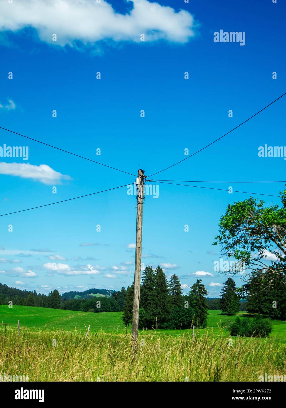 Landscape view with detached telegraph pole under blue sky with white ...