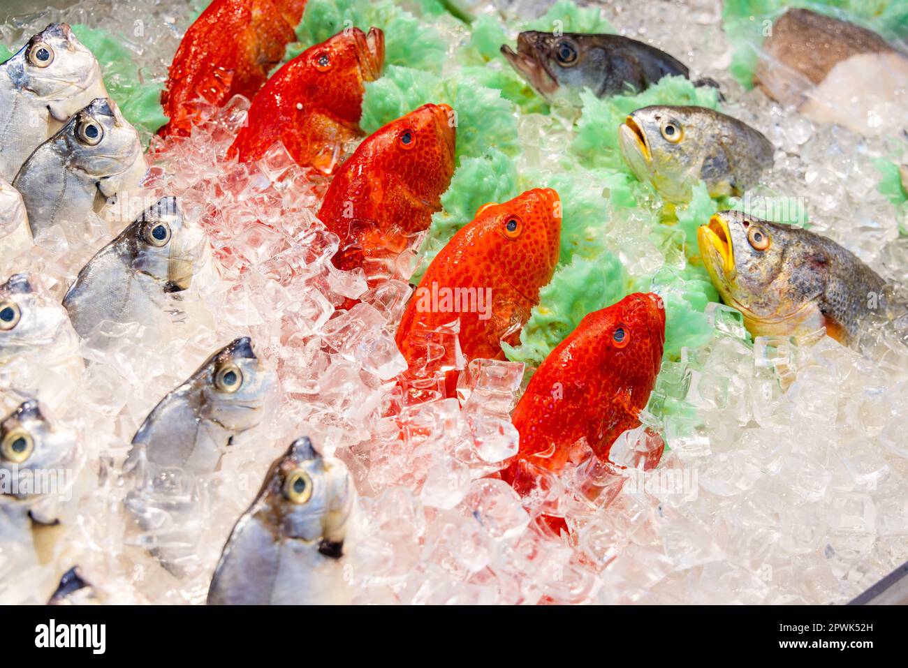 Fresh fish selling on wet market Stock Photo - Alamy