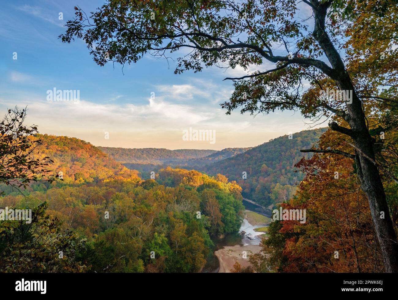 Mammoth Cave National Park in Kentucky Stock Photo - Alamy