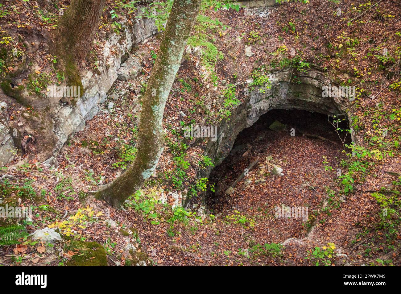 Mammoth Cave National Park in Kentucky Stock Photo - Alamy Mammoth Cave National Park in Kentucky Stock Photo - Alamy