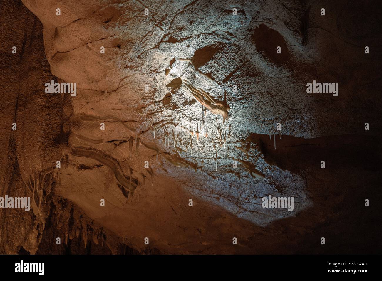 Mammoth Cave National Park in Kentucky Stock Photo - Alamy