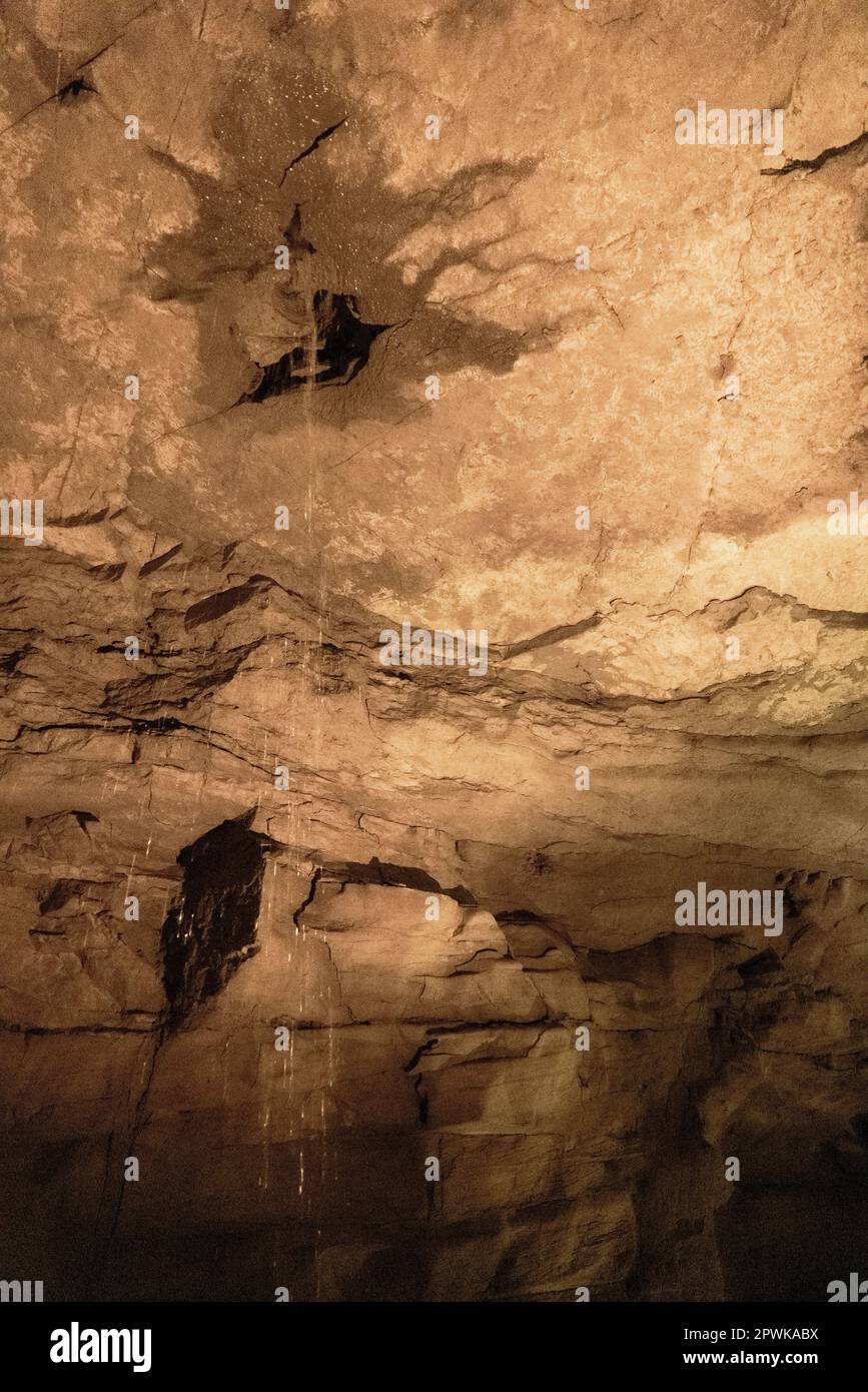 Mammoth Cave National Park in Kentucky Stock Photo - Alamy