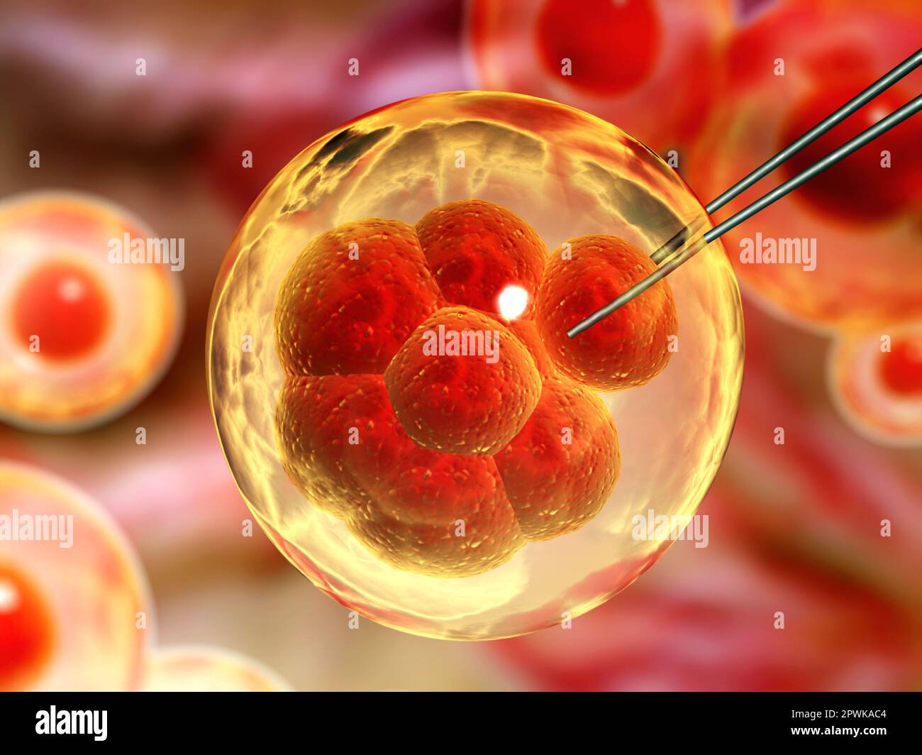 Genetic engineering, GMO and gene manipulation concept. Hi Tech ...