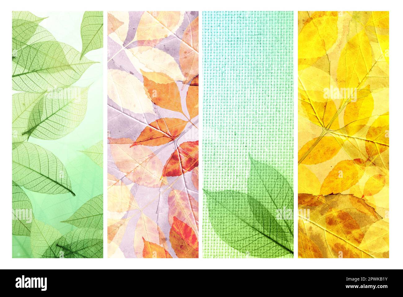 Set of vertical or horizontal vintage nature banners with autumn leaves ...