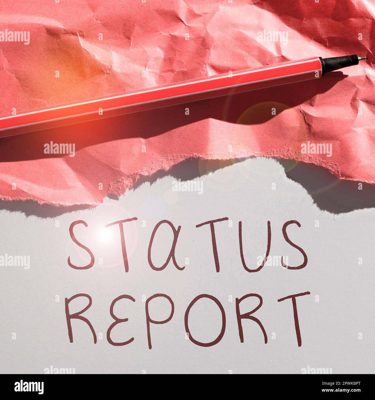 Text caption presenting Status Report, Concept meaning Update Summary ...