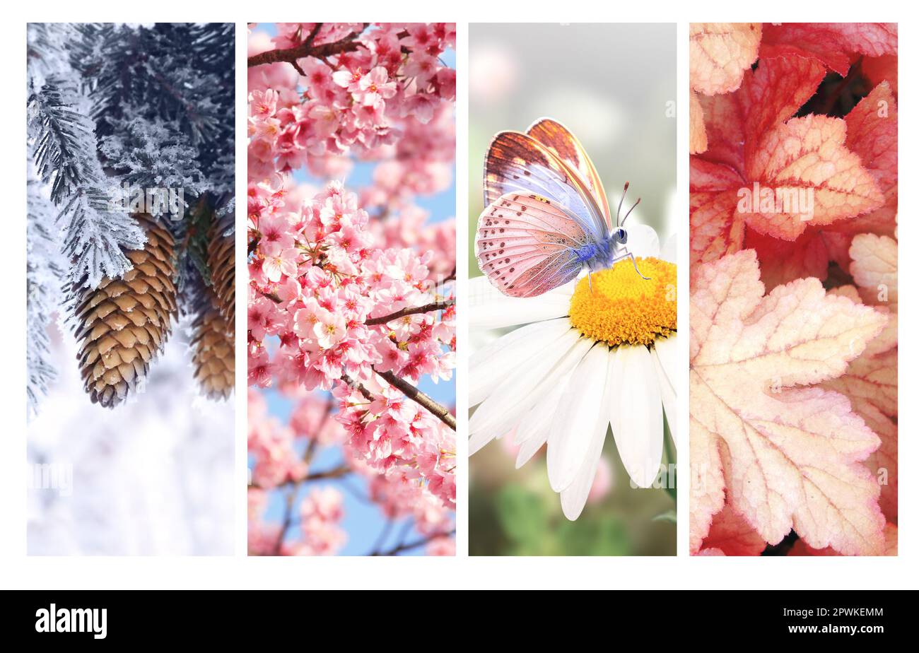 Four seasons of year. Set of vertical nature banners with winter ...