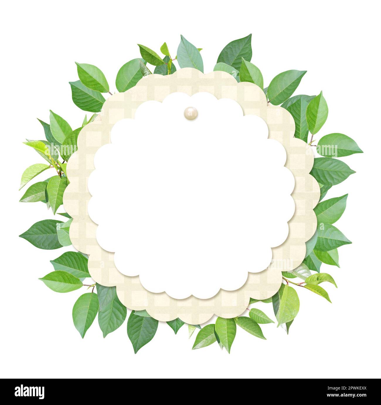 Responsible consumption. Circle made from green leaves and round label ...