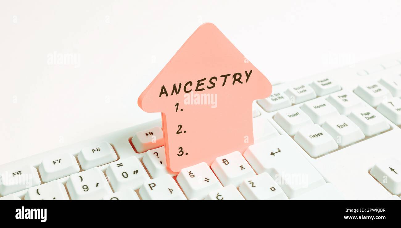 Conceptual display Ancestry, Business showcase the history or ...