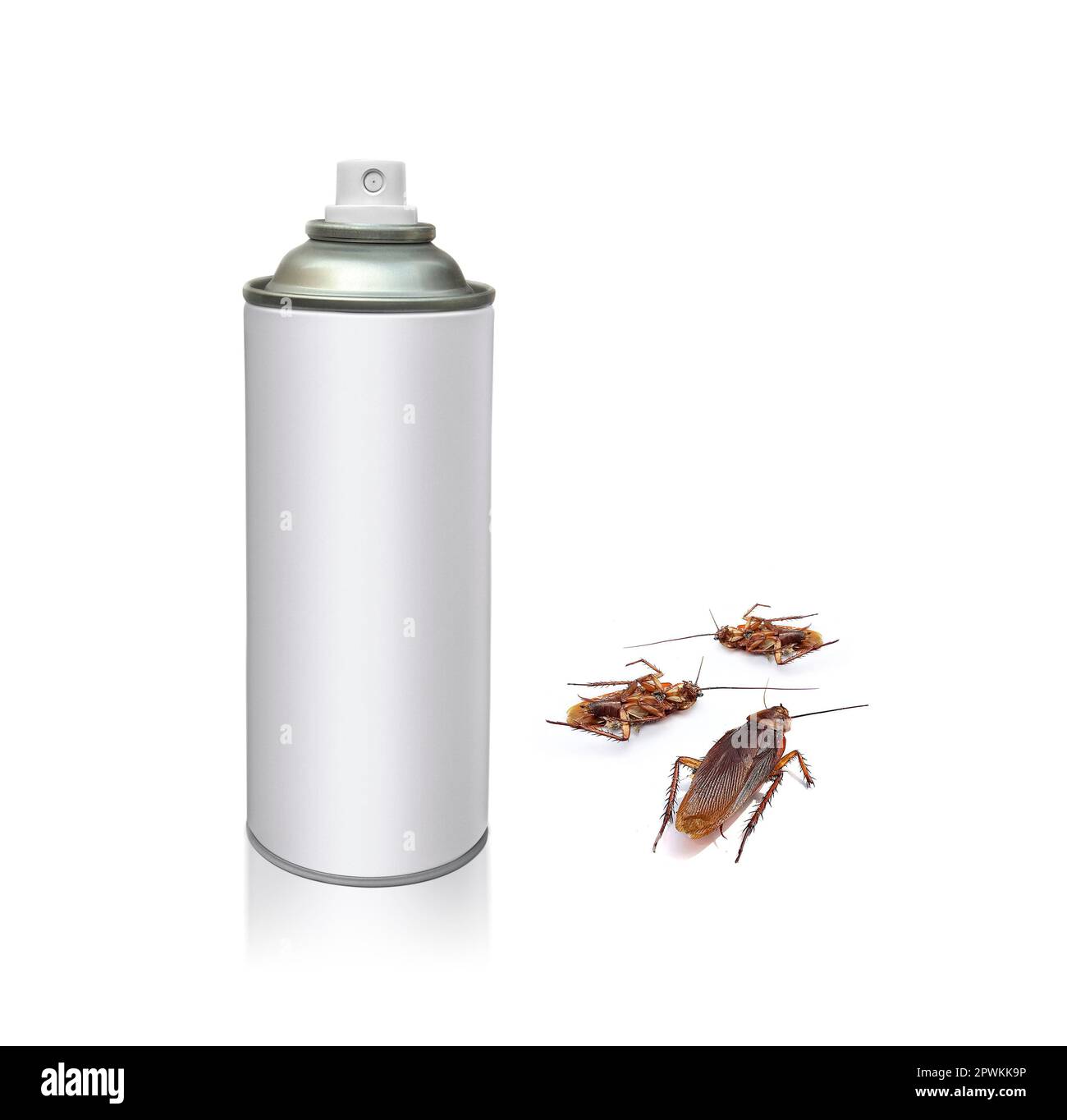 Spray, insecticide and cockroach isolated on white background Stock ...