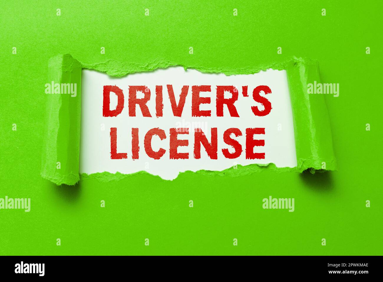 Conceptual display Driver's License, Word Written on a document ...