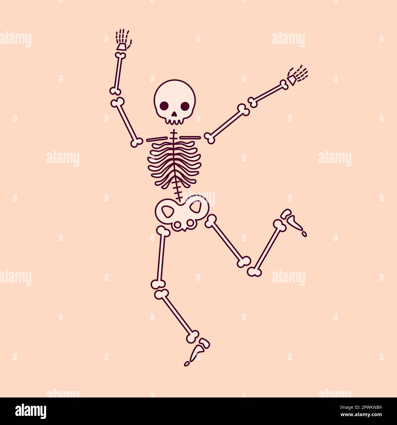 Human body skeleton jumping Stock Vector Images - Alamy