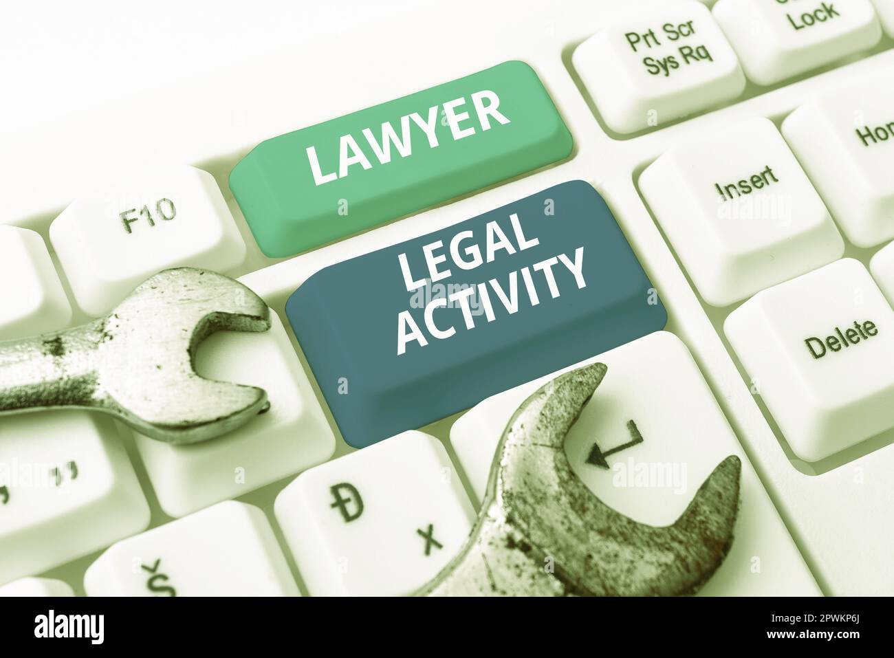 Conceptual display Lawyer Legal Activity, Business approach prepare ...
