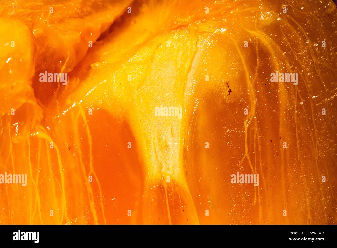 Close up of the orange glowing juicy flesh of a Sharon fruit Stock ...