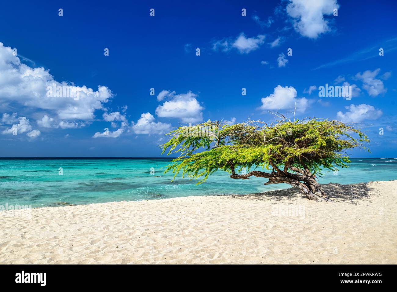 A panoramic view of Arashi Beach on the island of Aruba in the ...