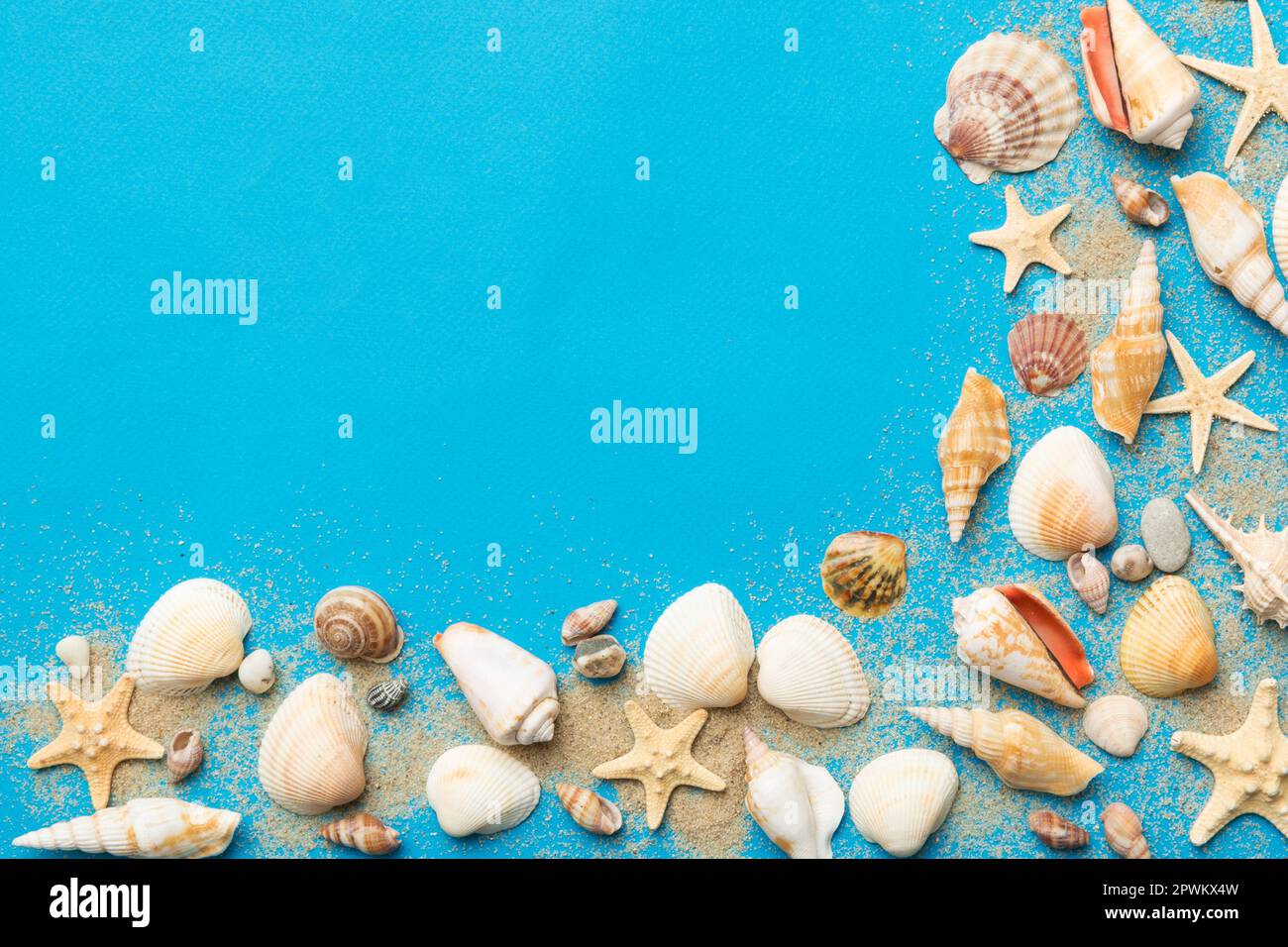 Summer time concept Flat lay composition with beautiful starfish and ...