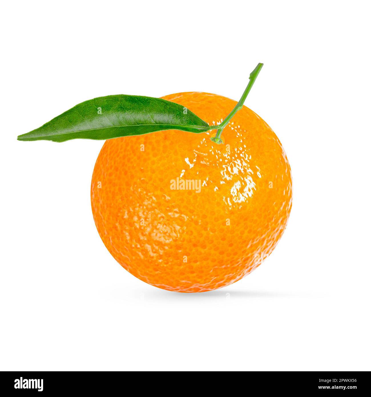 Isolated citrus fruit. One tangerine isolated on white background ...