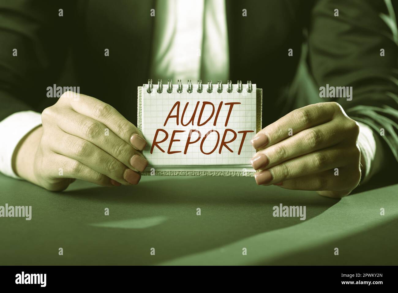 Conceptual display Audit Report, Business overview An appraisal of ...