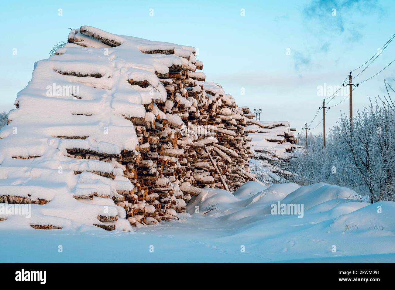 Logs stored in stacked piles covered with a snow. Timber wood industry ...