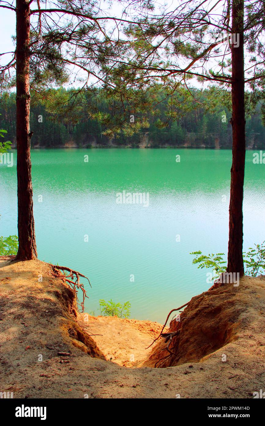 Beautiful forest lake with emerald water in pine forest. Wonderful ...