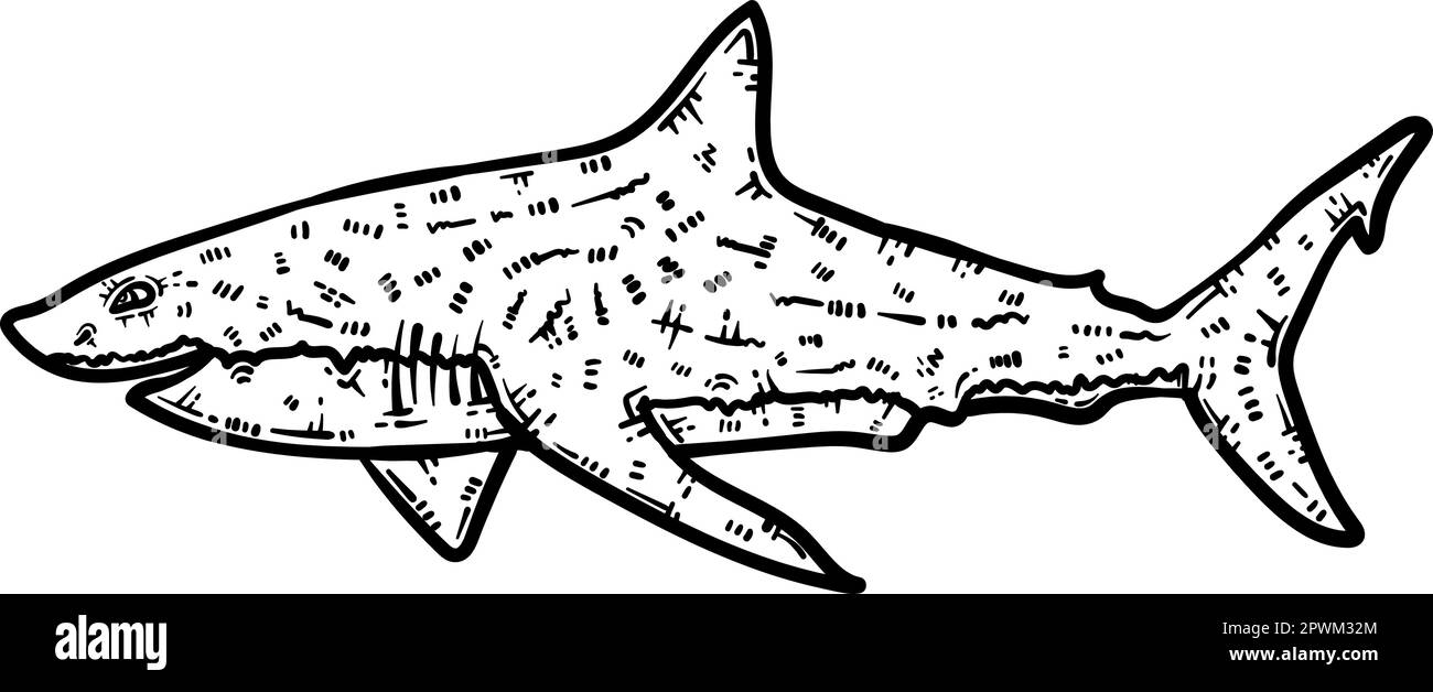 Shark Animal Coloring Page for Adults Stock Vector Image & Art - Alamy