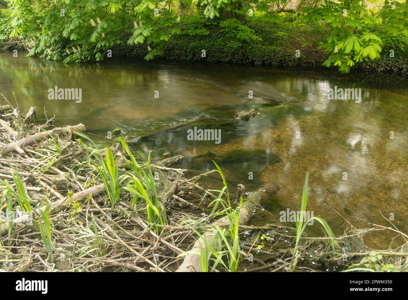 The River Wandle gently meandering through Morden Hall Park, South ...