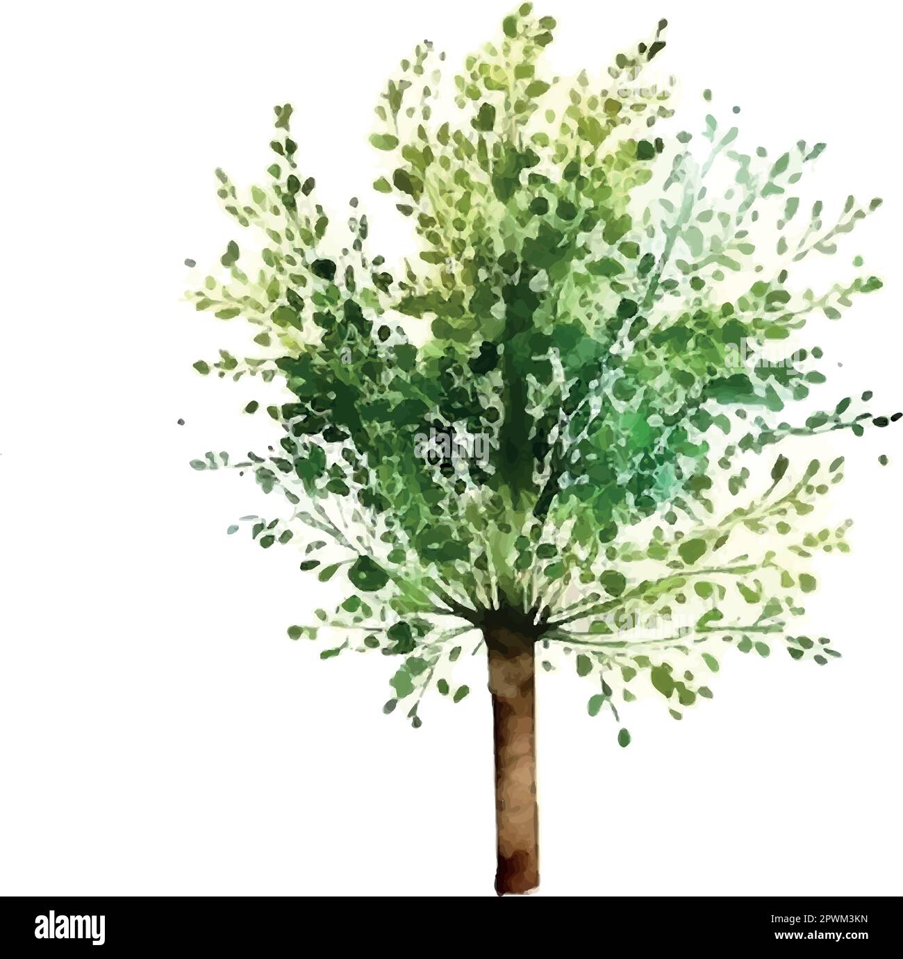 Watercolor tree hand draw vector nature painting Stock Vector Image ...