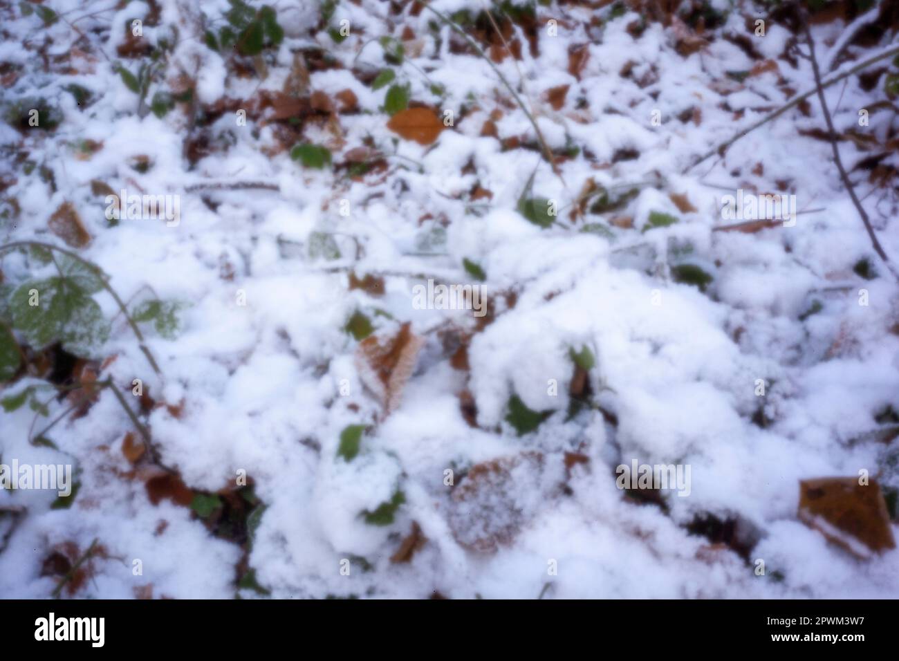 Crystalline core hi-res stock photography and images - Alamy