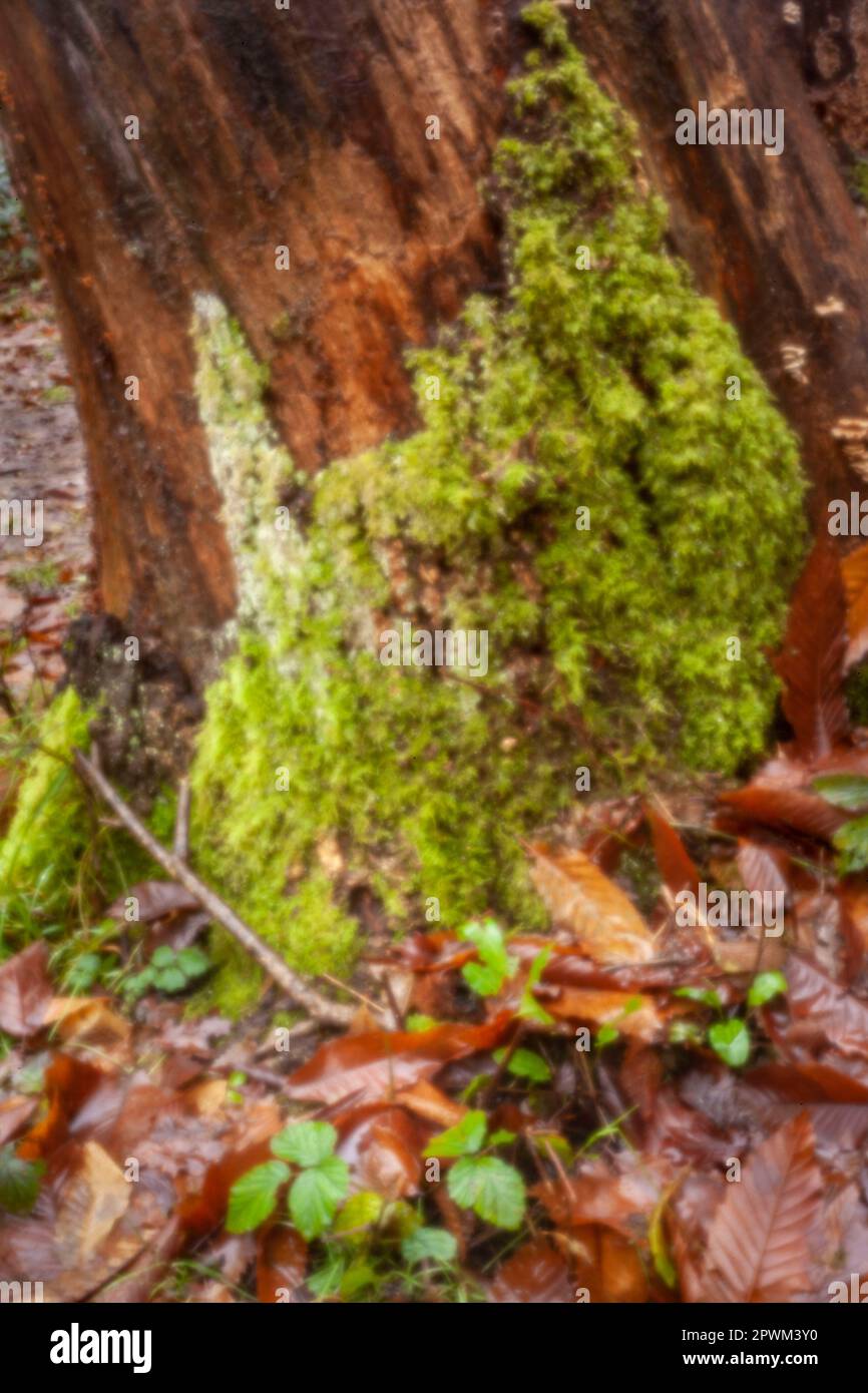 Collection features high resolution hi-res stock photography and images ...