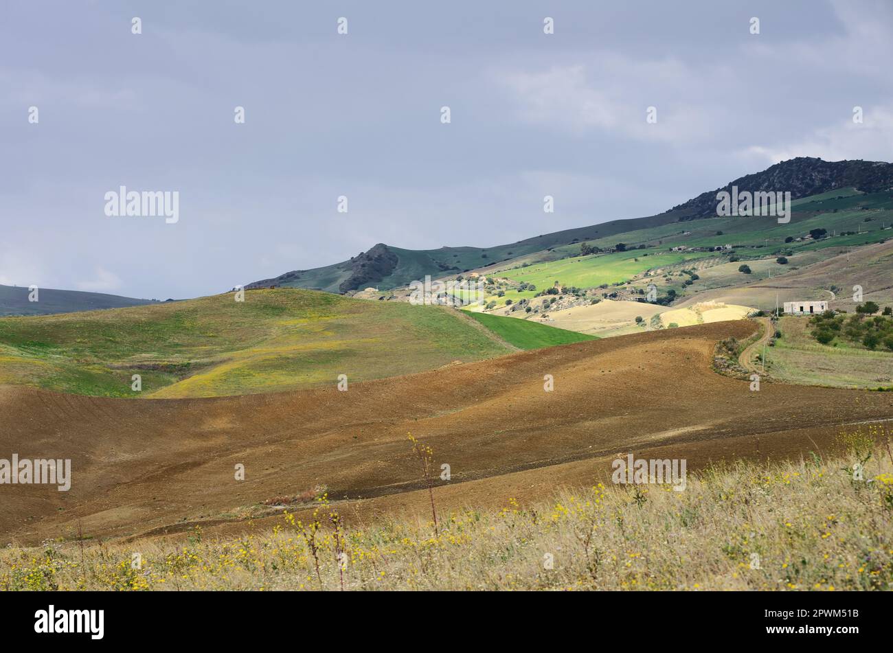 spring colors of rural farm landscape in Sicily, Italy Stock Photo - Alamy