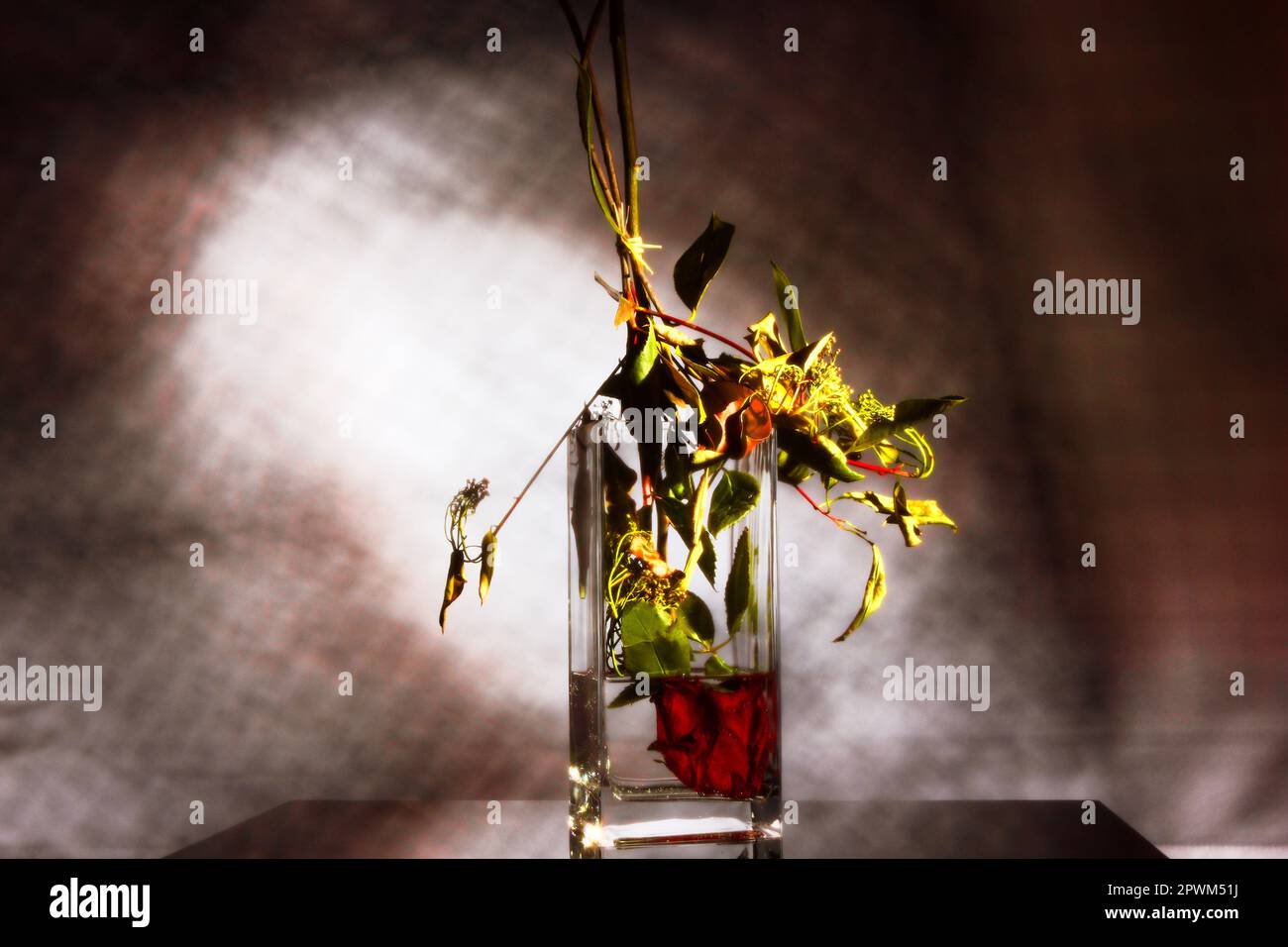 creative upside down concept - red rose with head in a flower vase with ...