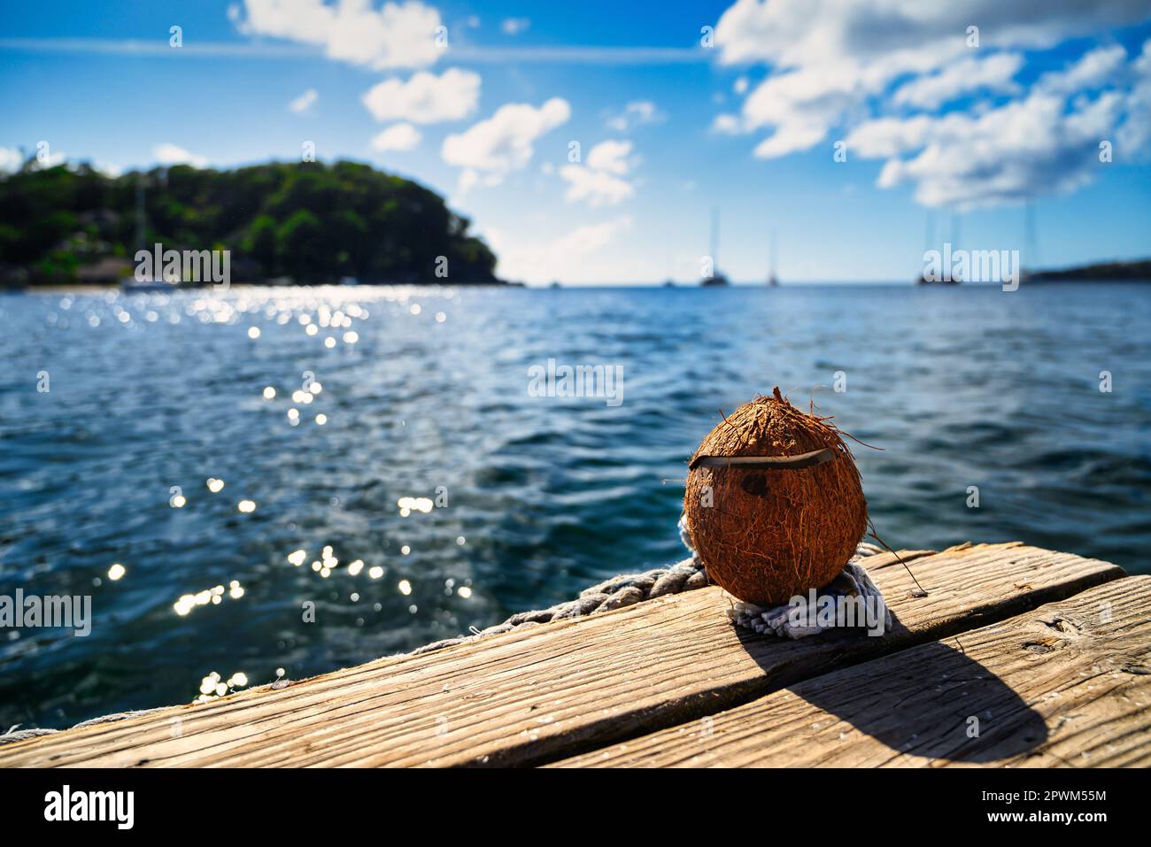 A view of a coconut at the boat dock on St. Vincent in the Caribbean ...