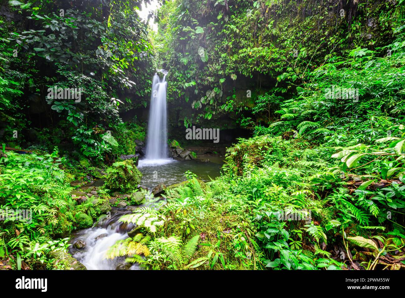 One of the most popular spots on the Caribbean island of Dominica, the ...