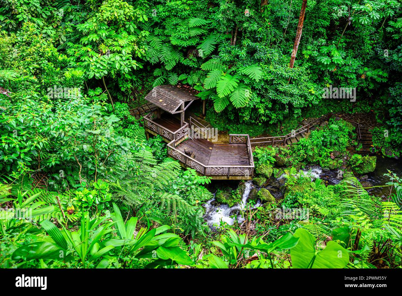 Observation deck on the Emerald Pool in Dominica in the middle of the ...