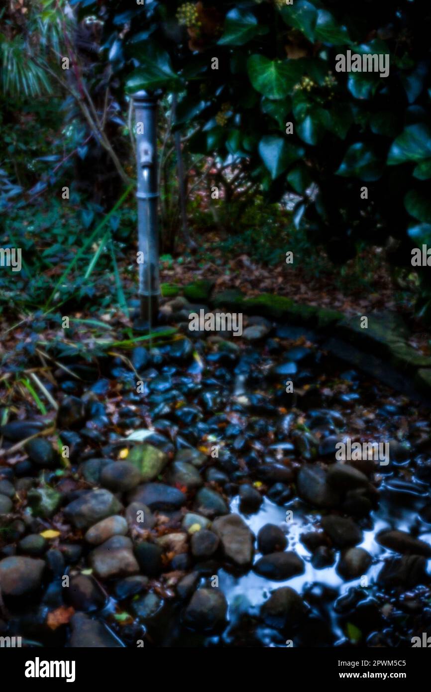 Pinhole Photography Woodland Series.New, Age-defying, lensless, stand ...