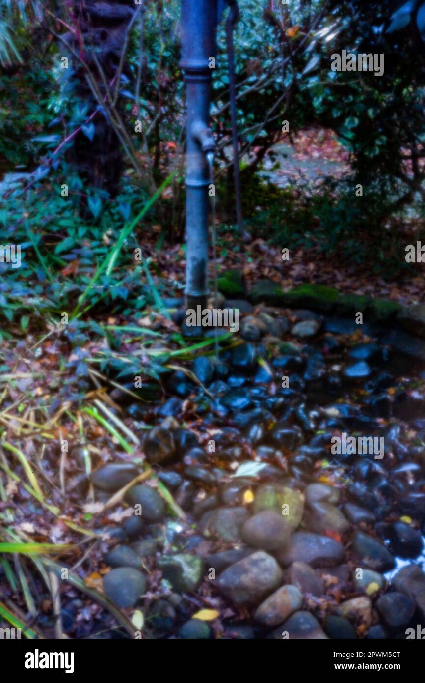 Pinhole Photography Woodland Series.New, Age-defying, lensless, stand ...