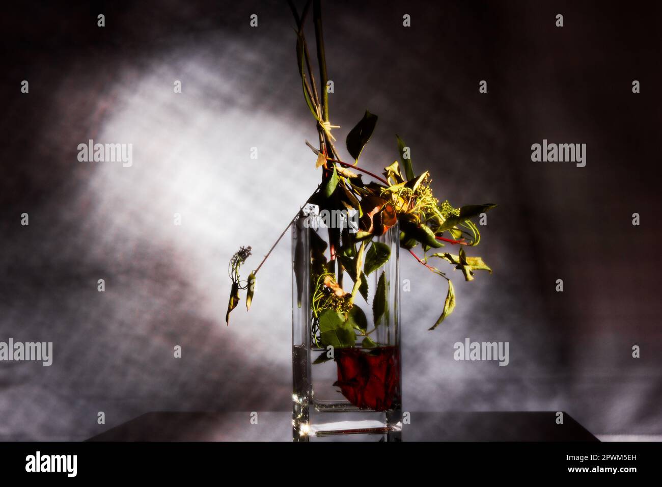 creative upside down concept - red rose with head in a flower vase with ...