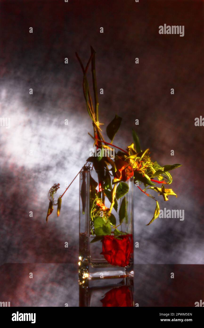 creative upside down concept - red rose with head in a flower vase with ...