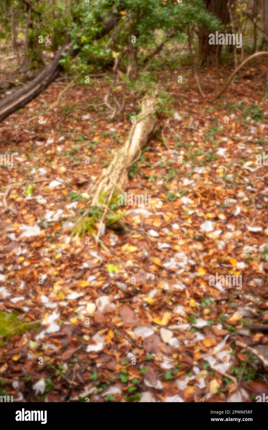 Pinhole collection hi-res stock photography and images - Alamy