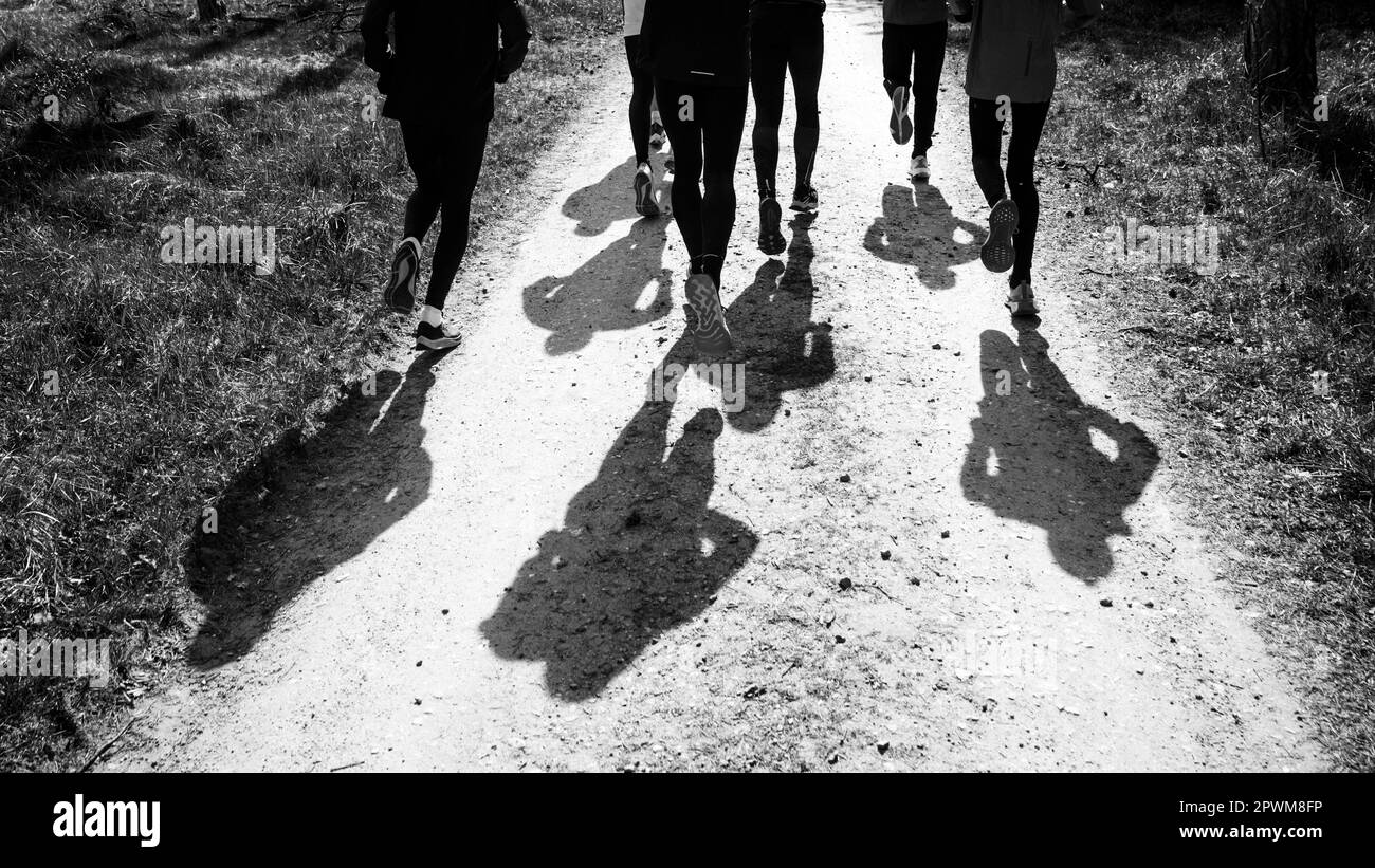 The Shadow of Runners: A Glimpse into the Training Routines of a ...