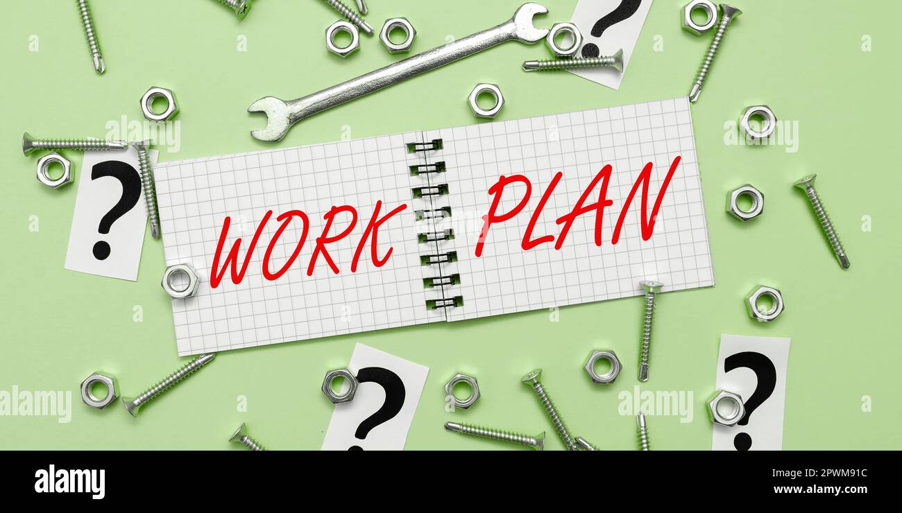 Conceptual display Work Plan, Business approach project to be ...